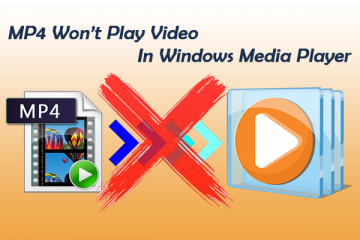 What to Do When MP4 File Won't Play on Windows Media Player ...